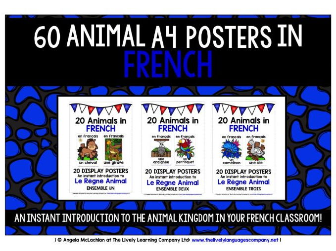 Primary languages teaching resources | TES