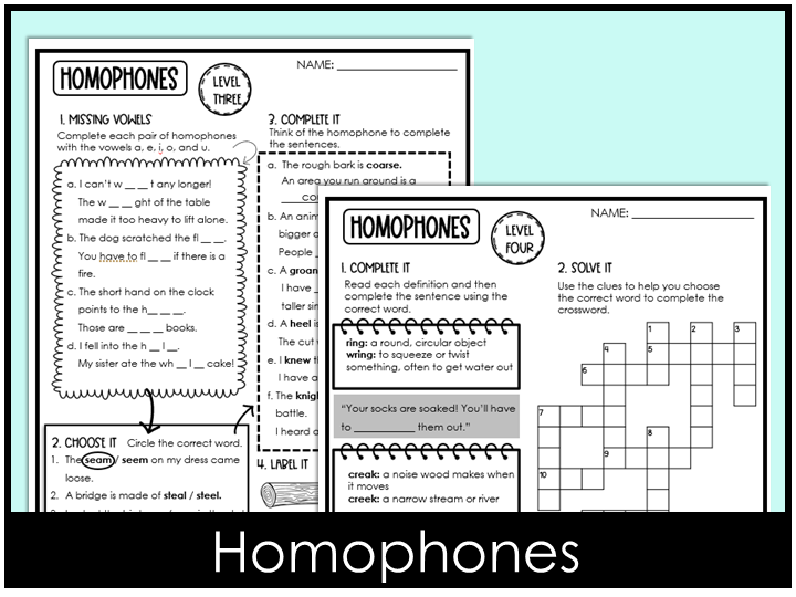 Fun Homophones Worksheets Printable and Digital Slides | Teaching Resources