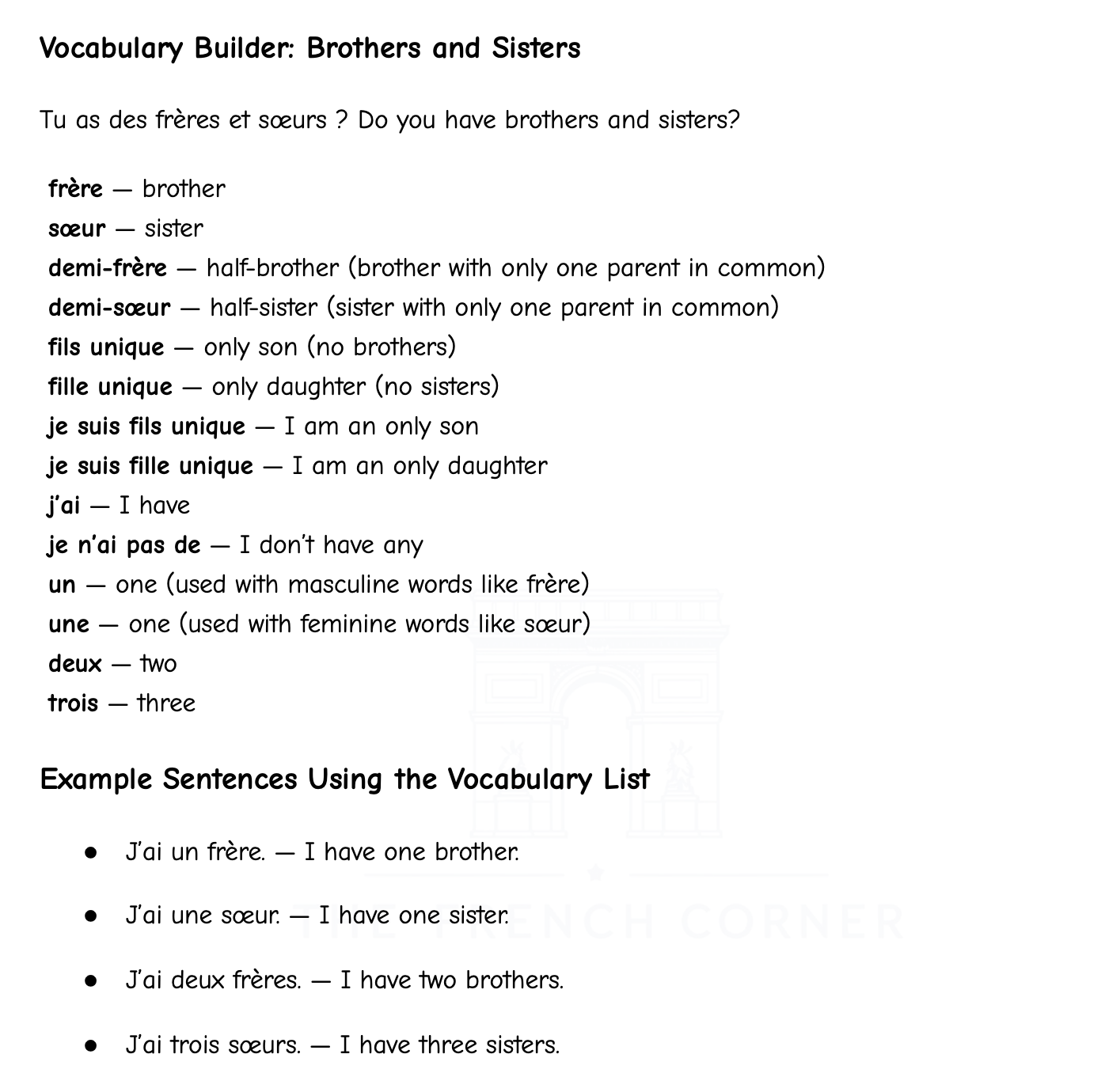 Ma Famille et Moi Mes Frères et Sœurs KS3 French Family & Siblings ...