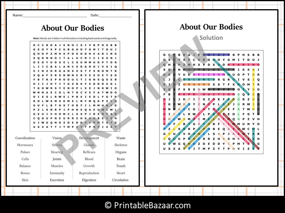 About Our Bodies Word Search Puzzle Worksheet Activity | Teaching Resources
