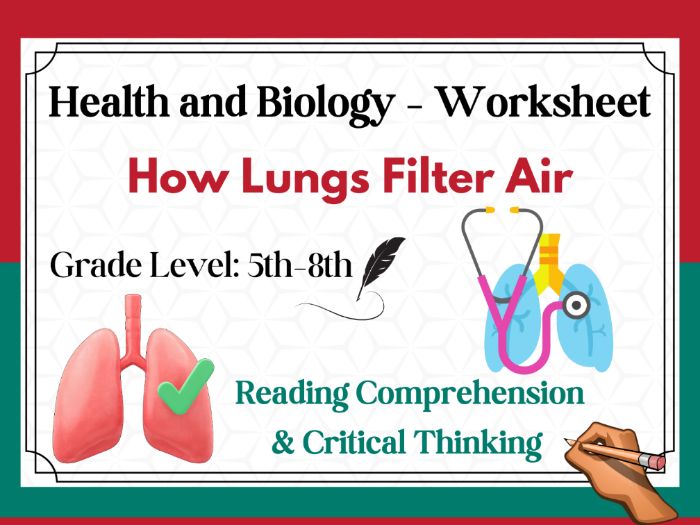 How Lungs Filter Air: Reading Comprehension Passages & Questions ...