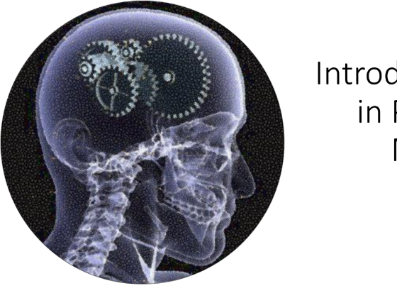 The Working Memory Model Teaching Resources The Working Memory Model Teaching Resources