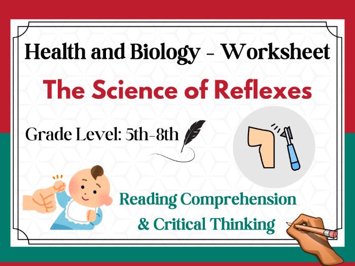 The Science of Reflexes: Reading Comprehension Passages & Questions ...