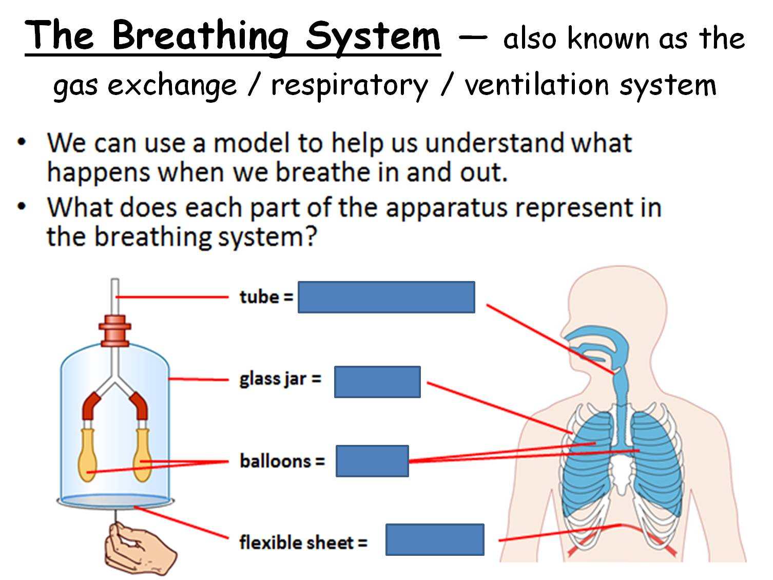 OnSpecScience - Teaching Resources - TES