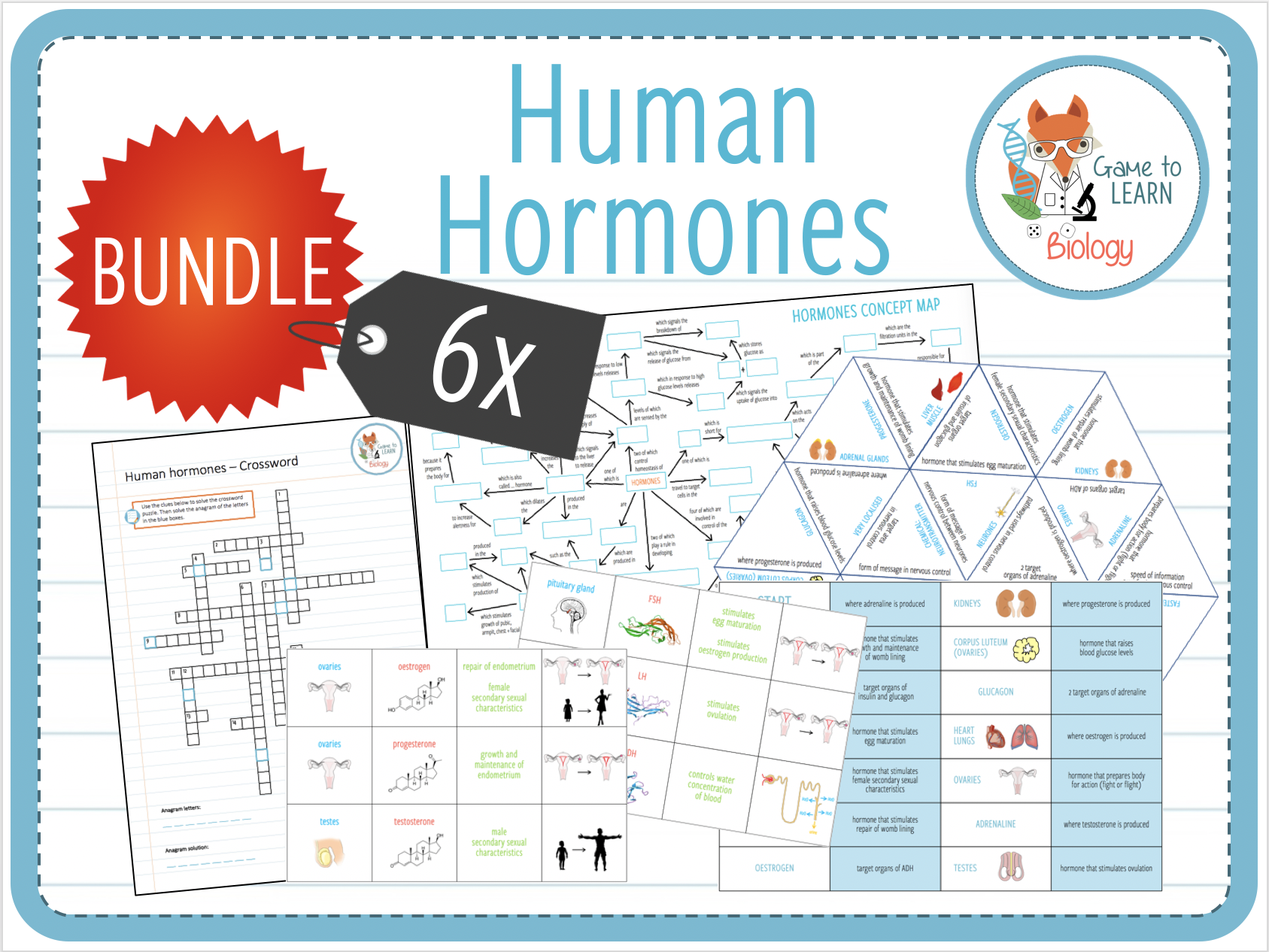 Human hormones - 6x Games and Activities (KS4/KS5) | Teaching Resources