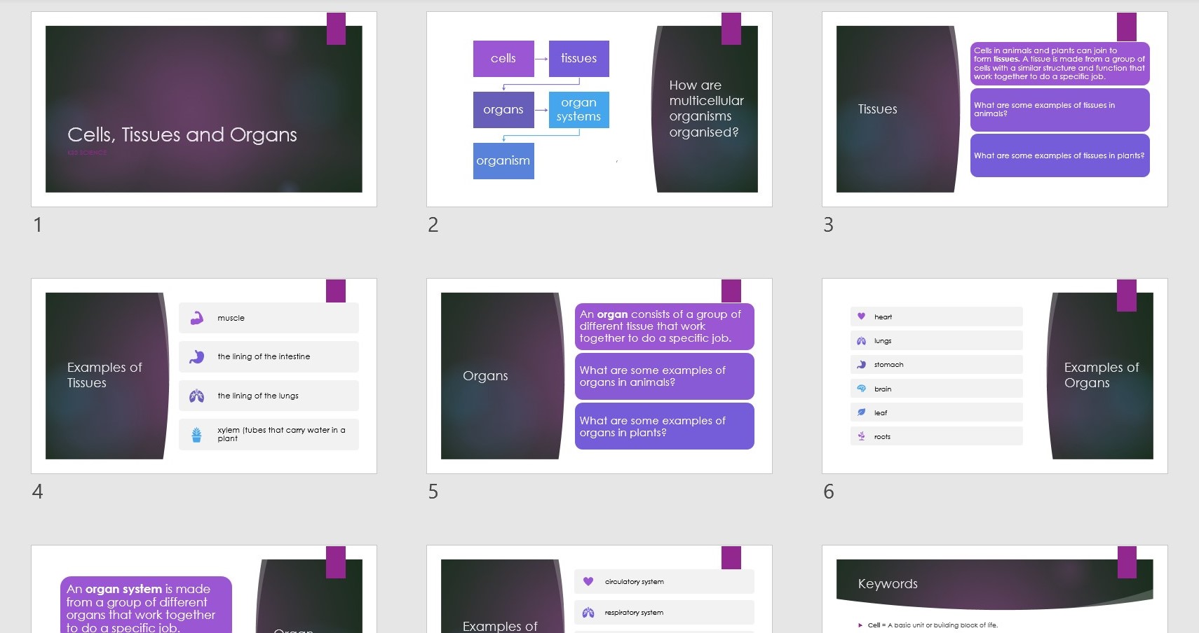 Ppt Plant Cells Tissues And Organs Powerpoint