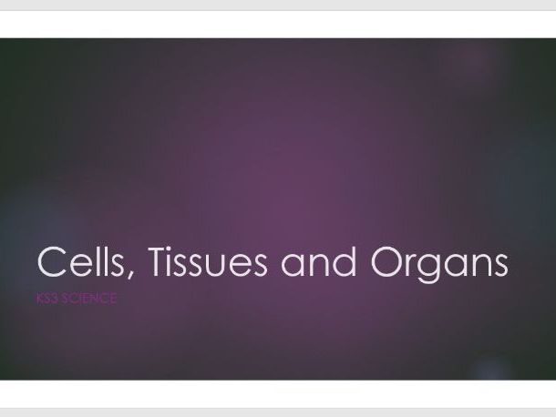 Ppt Cells Tissues Organs And Systems Powerpoint