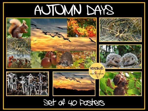 Autumn | Teaching Resources