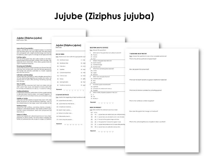 Jujube (Ziziphus jujuba) | Teaching Resources