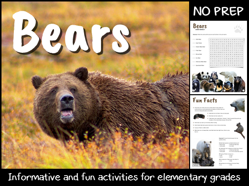 Bears | Teaching Resources