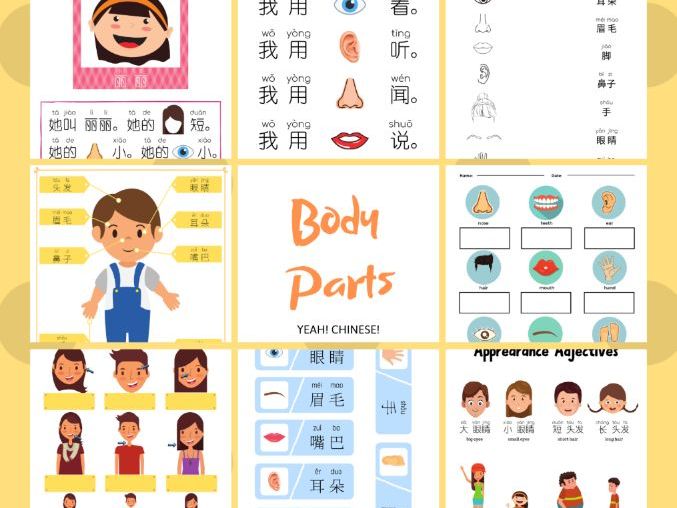 My Body Parts Bundle (Mandarin Chinese) - 身体部位 by feitiannvh520 ...