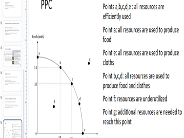 IGCSE Economics unit 1 PowerPoints | Teaching Resources