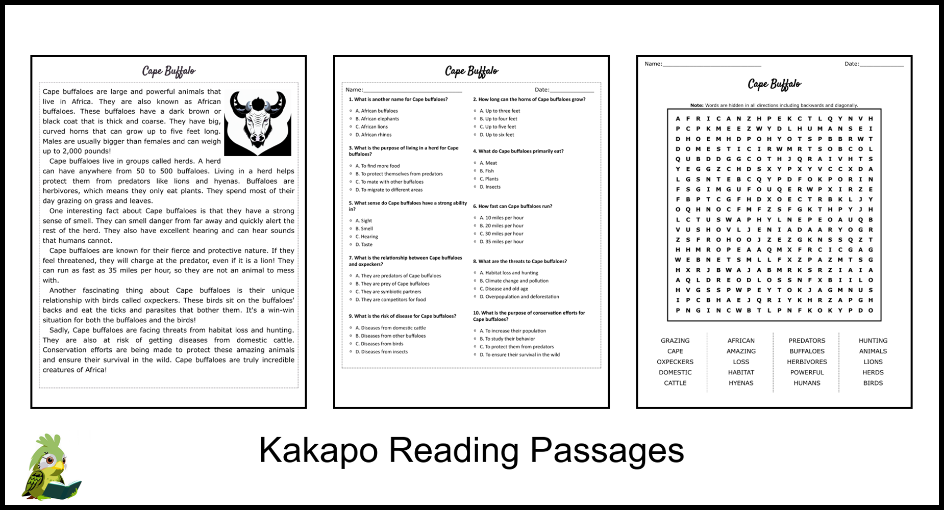 Cape Buffalo Reading Comprehension and Word Search | Teaching Resources