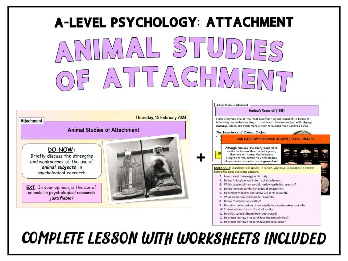 A-Level Psychology - ANIMAL STUDIES OF ATTACHMENT [Attachment Topic ...