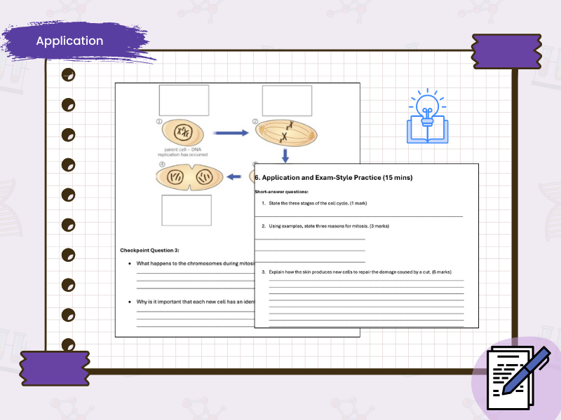 Mitosis - B2.1.4 - GCSE OCR Biology | Teaching Resources