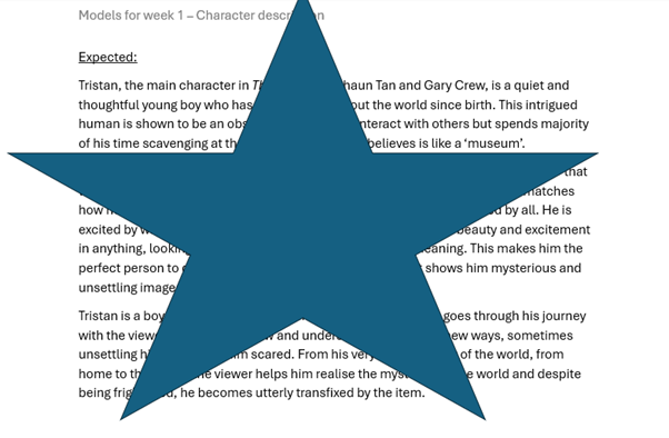 'The Viewer' by Shaun Tan and Gary Crew - 2-week Planning | Teaching ...