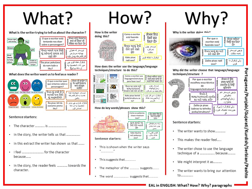 KS3/4 EAL INA English Paragraph structure - MULTILINGUAL | Teaching ...