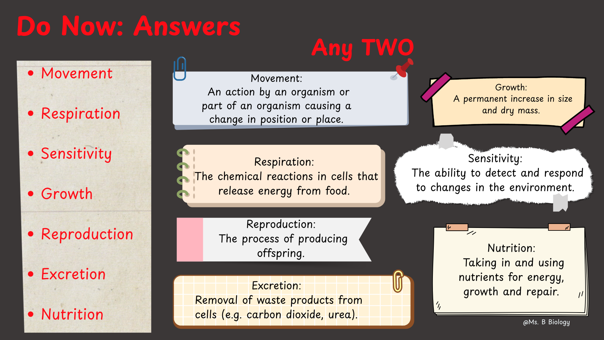 GCSE Biology Animal Cell Lesson | Label Structure & Functions | SEND ...