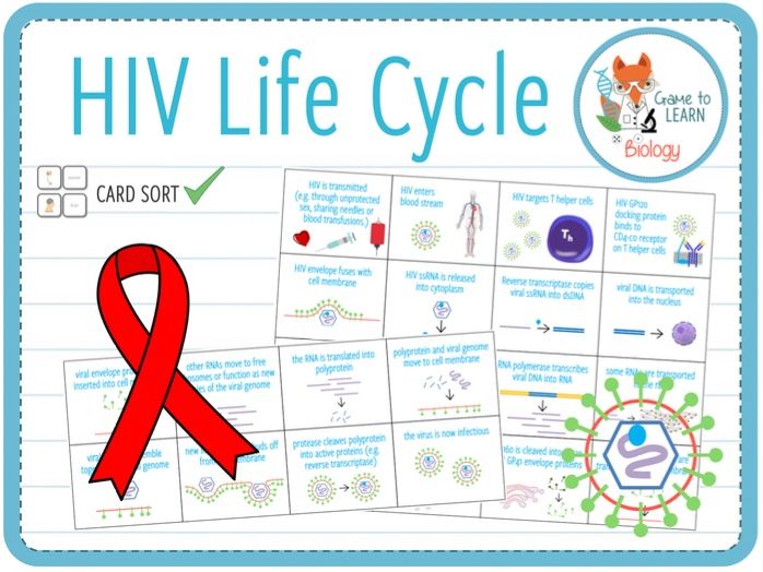 HIV Life Cycle - Card Sort (KS5) | Teaching Resources