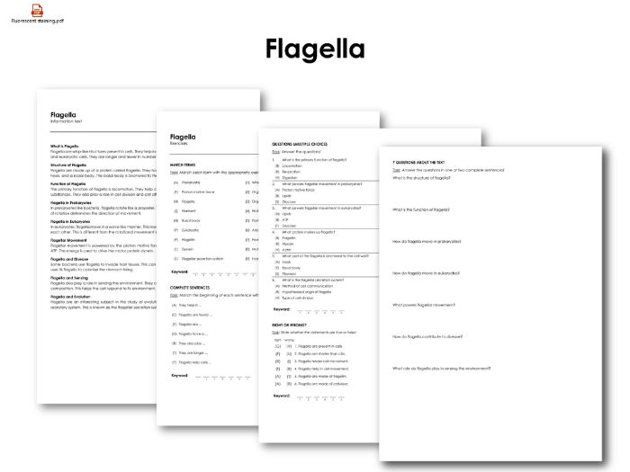 Flagellating Define Difference Between Cilia and Flagella (with ...
