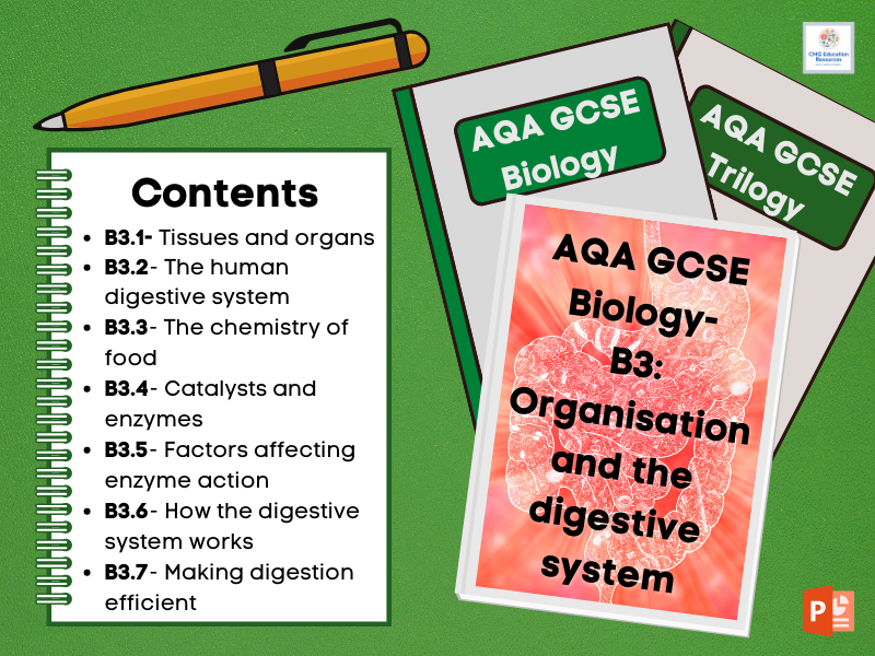 B3 Organisation and the digestive system bundle (AQA 9-1 GCSE Biology) | Teaching Resources
