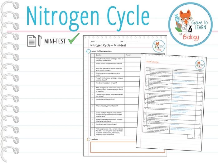 Nitrogen Cycle - Mini-test (KS4) | Teaching Resources