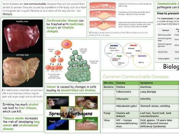Science Edexcel ELC Paper 2 Revision: Biology B2 - Health, Disease and ...