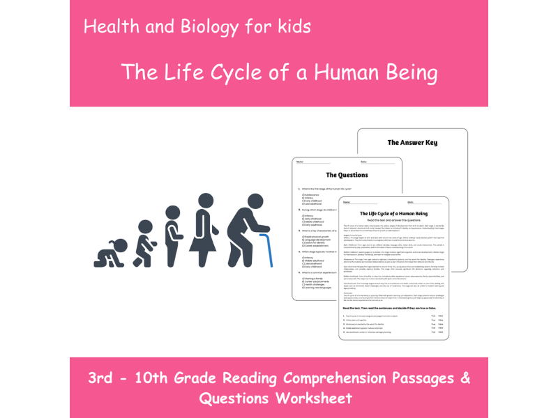 The Life Cycle of a Human Being Reading Comprehension Passages ...