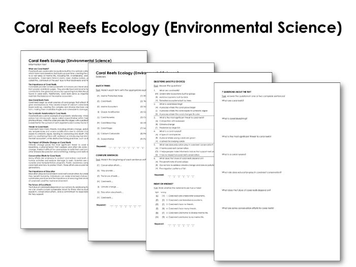 Coral Reefs Ecology (Environmental Science) | Teaching Resources
