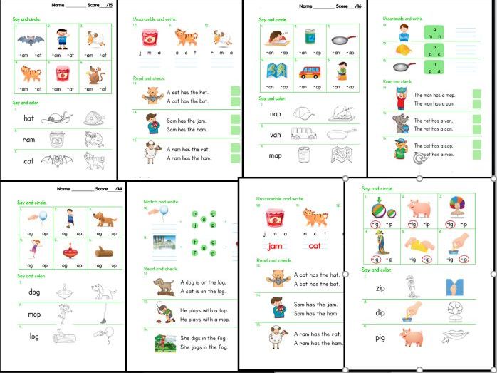 Phonics Test & Review | CVC Word Family Assessment for Young Learners ...