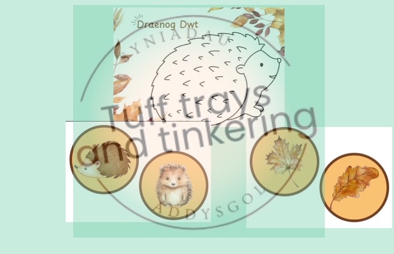 hedgehog autumn hydref Foundation phase Curriculum for Wales Early ...