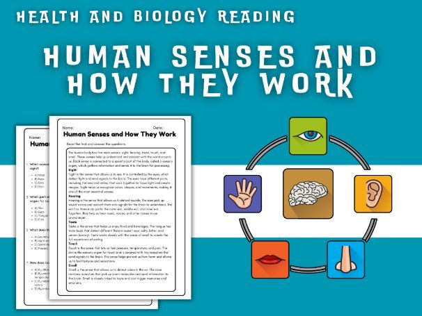 Human Senses and How They Work - Health Reading Worksheet | Teaching ...