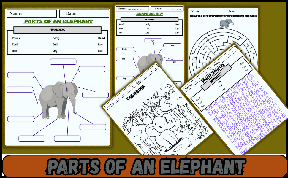 Parts of an Elephant – Labeling, Coloring, Word Search & Fun Activities ...