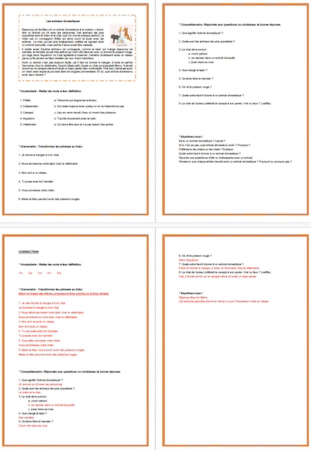 French-reading (year 8 or 9 - grade 7 or 8): les animaux domestiques ...