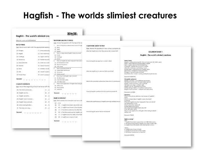 Hagfish - The worlds slimiest creatures | Teaching Resources