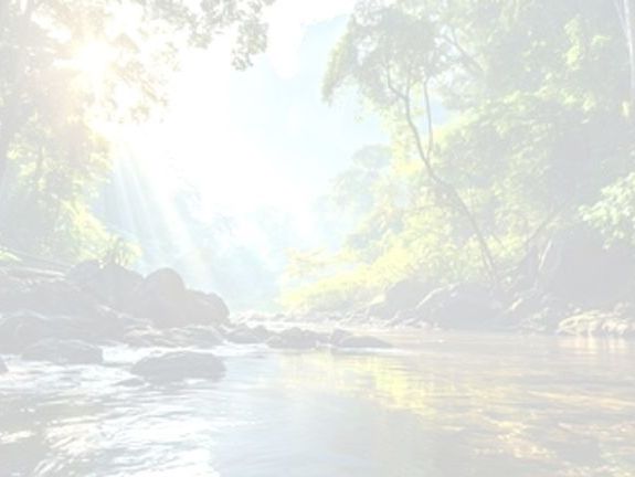 A Level Water & Carbon Cycles | Teaching Resources