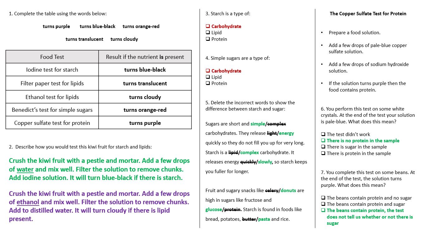 Food Tests ~ KS3 ~ Year 8 | Teaching Resources