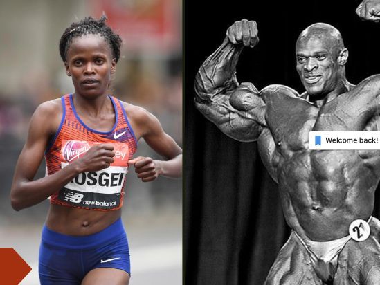 IB SEHS Unit 1 - Musculoskeletal System | Teaching Resources