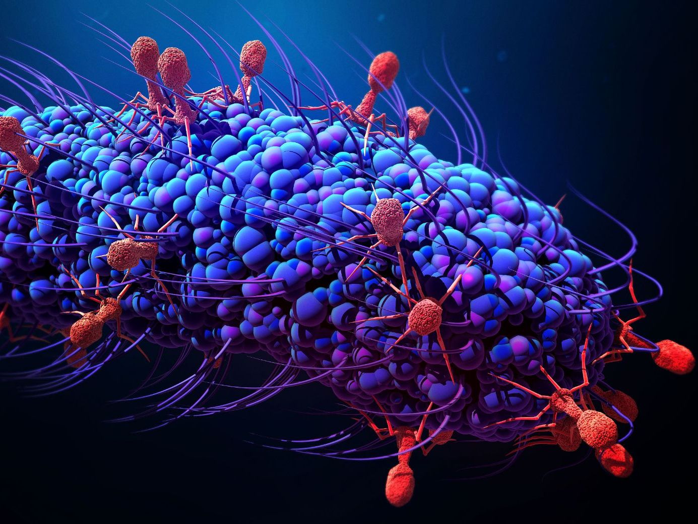 Middle School Biology Resources: Biology Lessons for 6th, 7th, 8th ...