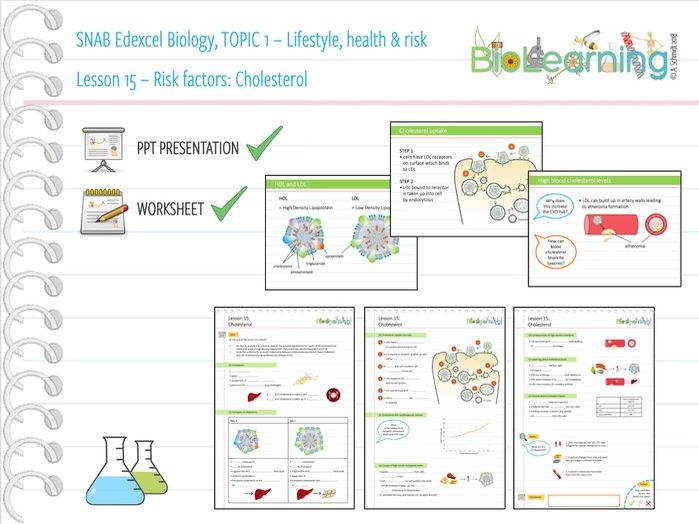 SNAB Biology Topic 1 - Lesson 15 (Risk factors: Cholesterol) – WS and ...