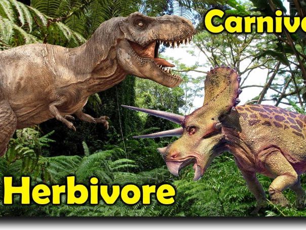 Early Years Teaching Resources: Literacy and Numeracy Activities | Tes