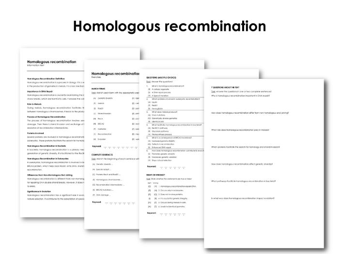 Homologous recombination | Teaching Resources Homologous recombination | Teaching Resources