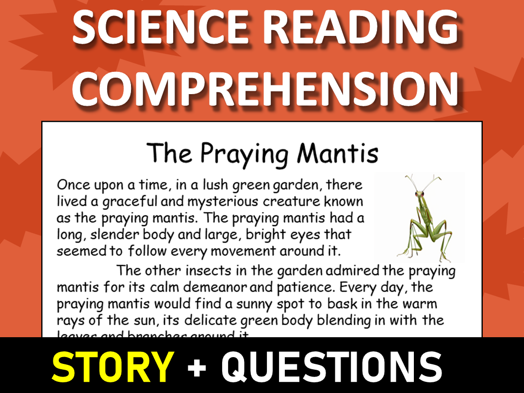 The Praying Mantis Reading Science Story Comprehension Questions ...