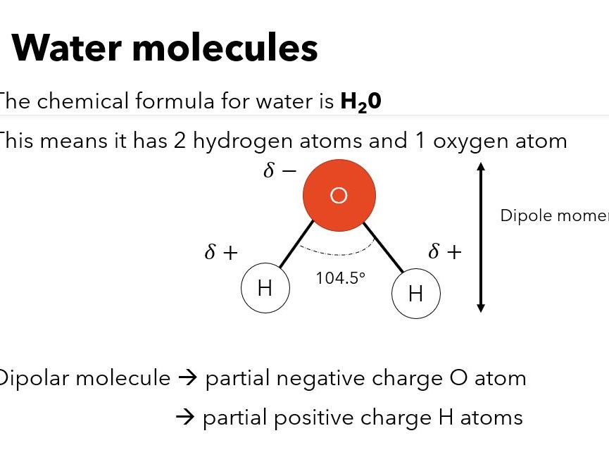 WJEC/EDUQAS AS Biology Unit 1.1 The Importance of Water LESSON ...