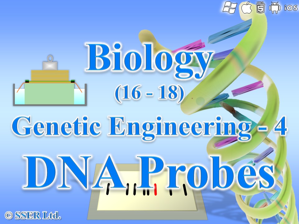 BioA_3.8.4.2 Genetic Engineering 4 - DNA Probes | Teaching Resources