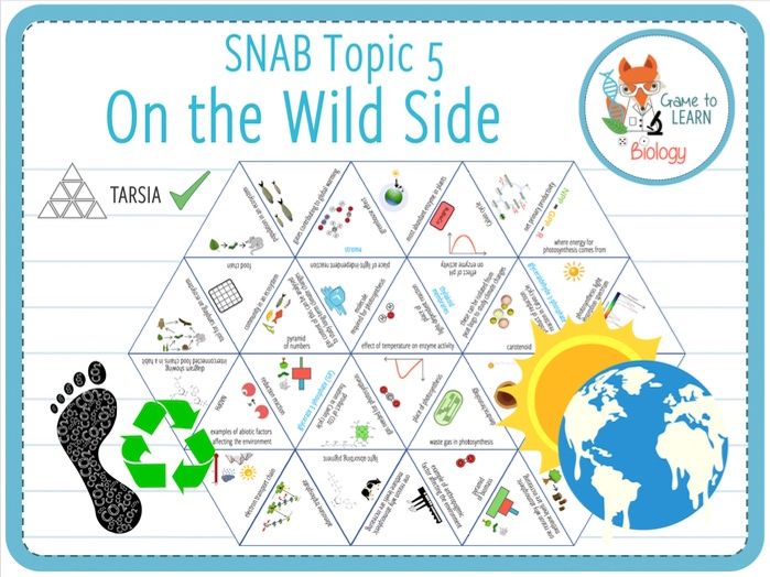 SNAB Biology Topics 5-8 - Tarsia Games | Teaching Resources
