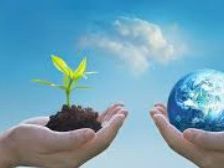Y2 Science, The Environment Planning - 6 weeks | Teaching Resources