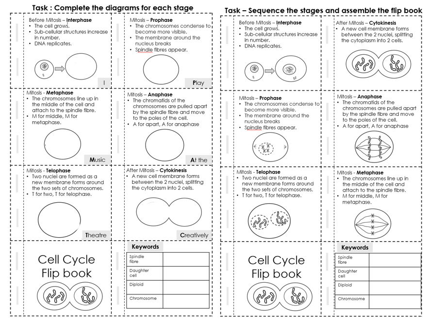 Cell Cycle (Mitosis) Flip book EDEXCEL | Teaching Resources