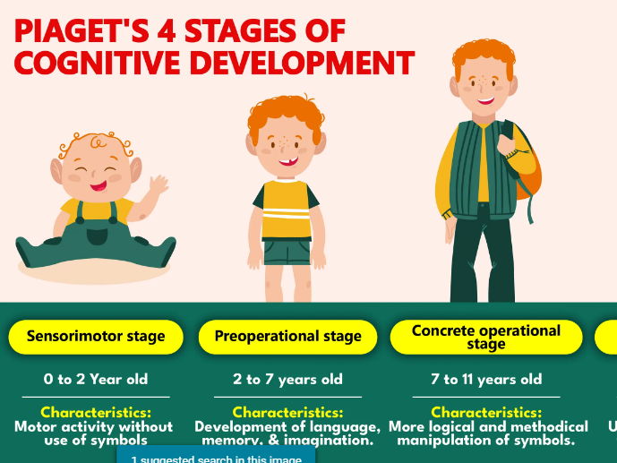 AQA Psychology Cognition and Development | Teaching Resources