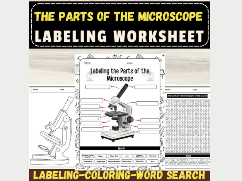 Label the Parts of the Microscope: Labeling , Word Search, and Coloring ...